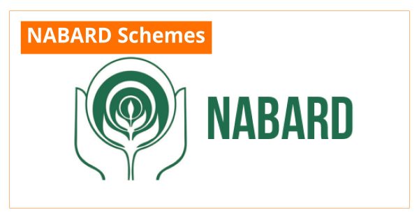 NABARD Schemes: Empowering Rural India | Lendingkart