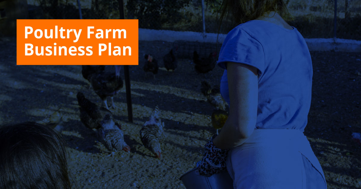 Poultry Farm MSME Loan: Funding for Your Business