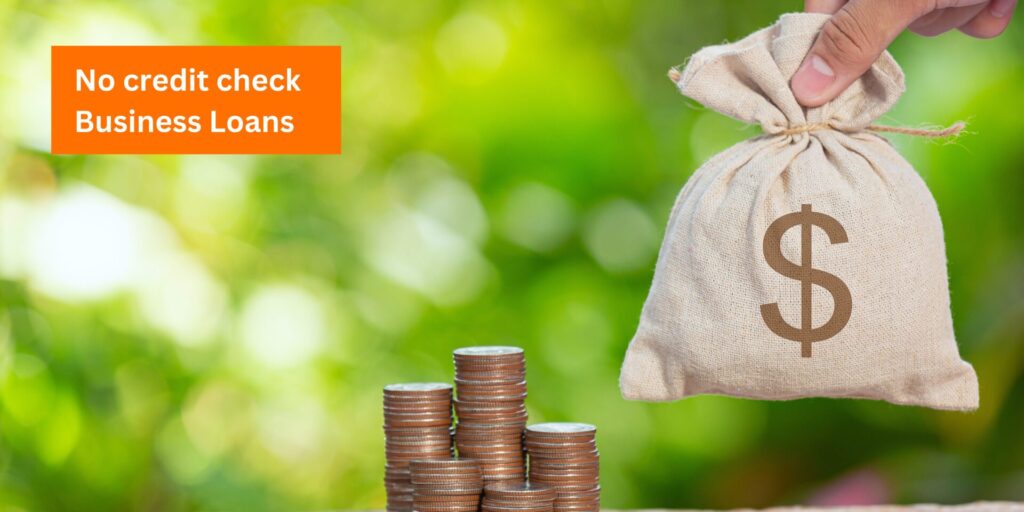 Ultimate Guide to Business Loans With No Credit Check