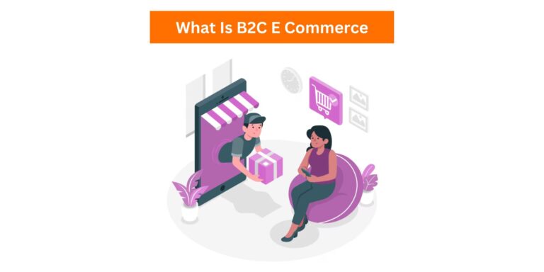 Understanding B2C eCommerce: Key Insights