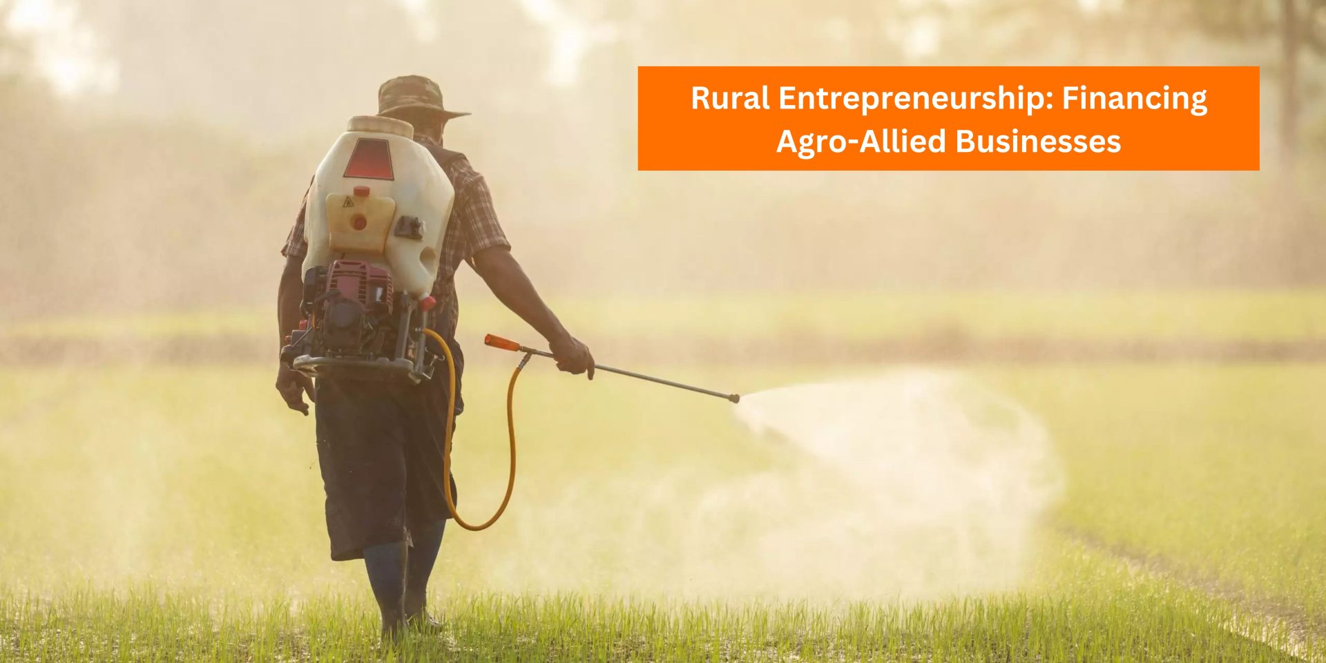Rural Entrepreneurship: Financing Agro-Allied Businesses